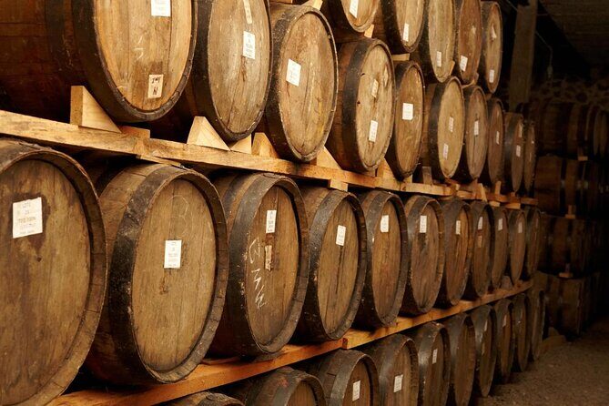 Private Full-Day Tour to Tequila Visiting Tequilera José Cuervo - A Practical Look at the Private Full-Day Tequila Tour from Guadalajara
