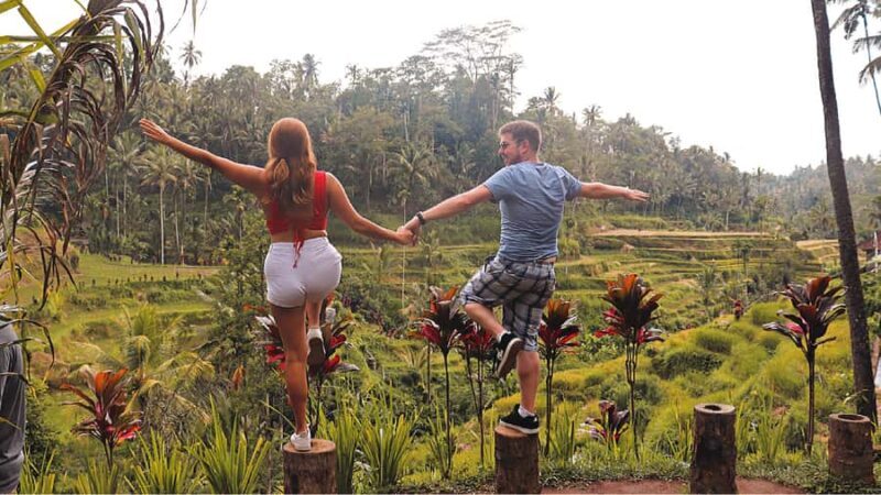 Private Full-Day Tour to the Real Bali Swing and Ubud - Key Points
