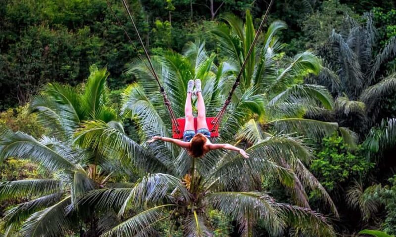 Private Full-Day Tour to the Real Bali Swing and Ubud - Who Will Love This Tour?