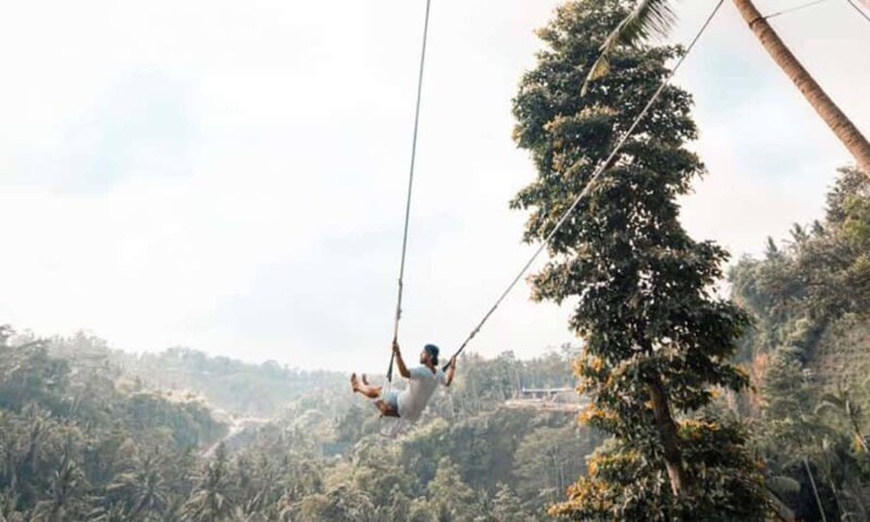 Private Full-Day Tour to the Real Bali Swing and Ubud - The Sum Up