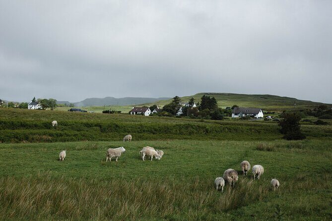 Private Full-Day Tour to the Scottish Highlands and Loch Ness - Why This Tour Stands Out
