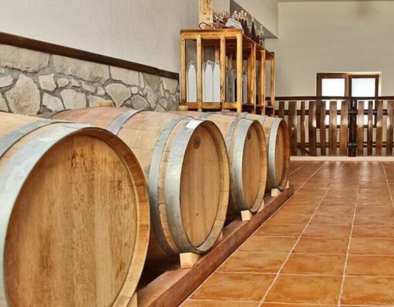 Private Full - Day Tour: Wine Tasting Tour to Peljesac - An Introduction to the Tour