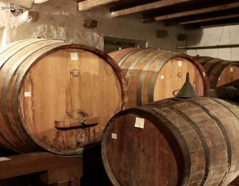 Private Full - Day Tour: Wine Tasting Tour to Peljesac - Practical Details and Tips