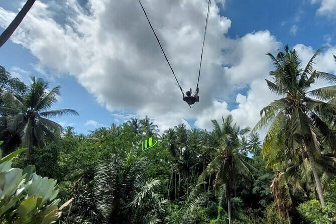 Private Full-Day Tour with Bali Swing and Water Rafting in Ubud - The Itinerary in Detail