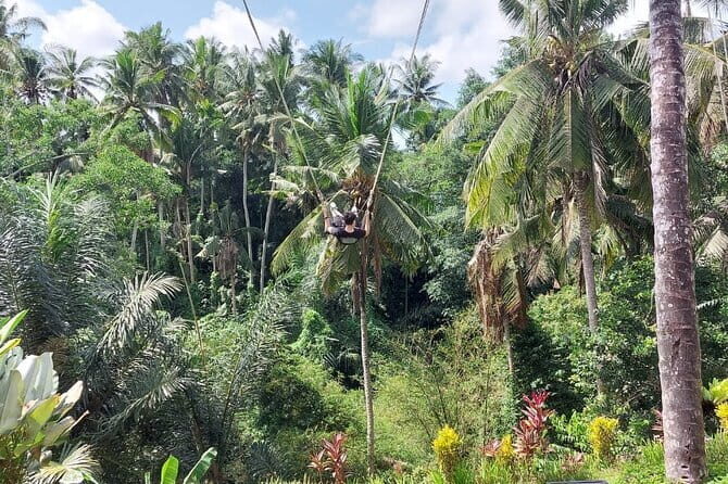 Private Full-Day Tour with Bali Swing and Water Rafting in Ubud - Rock-solid Safety and Practical Tips