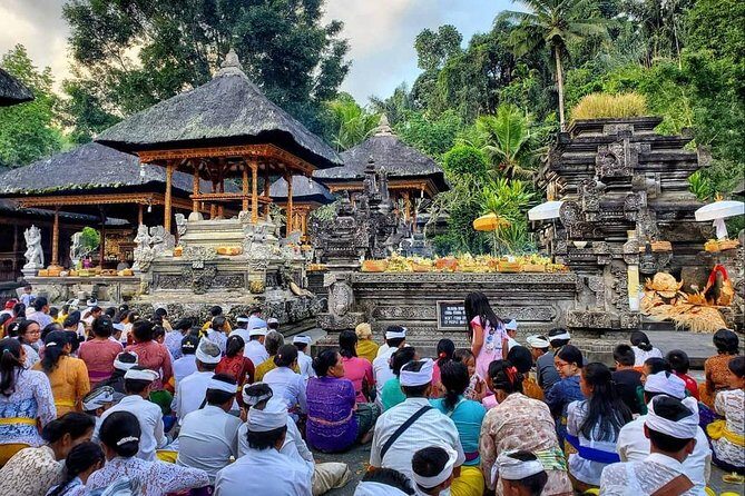Private Full Day Tour with Ubud and Kintamani Highlights - In-Depth Review of the Tour Experience