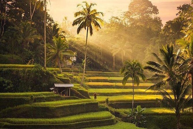 Private Full Day Tour with Ubud and Kintamani Highlights - Final Thoughts: Why Choose This Tour?