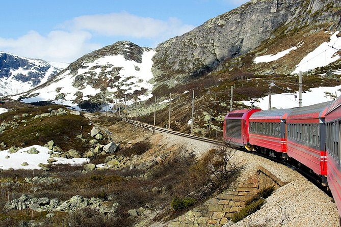 Private Full Day Trip From Oslo To Bergen with Sognefjord And Flam Railway - Key Points