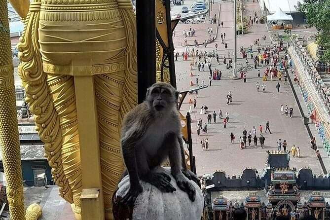 Private Full-Day Trip in Kuala Lumpur from Port Klang - Additional Notes