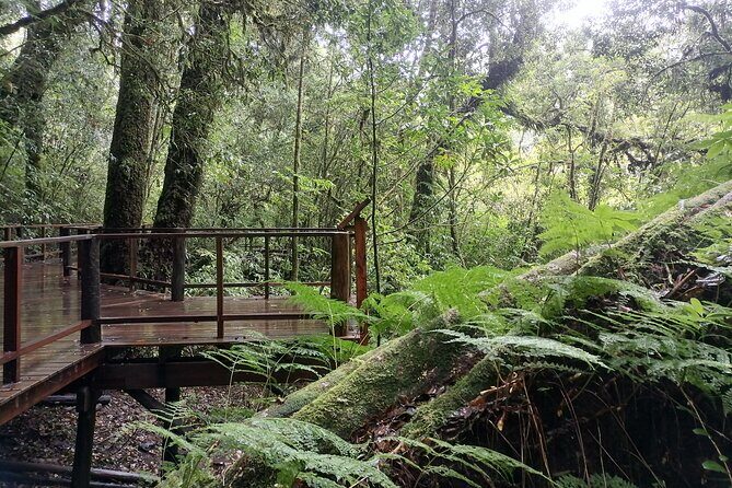 Private Full-Day Trip to Doiinthanon National Park - Who Will Love This Tour?