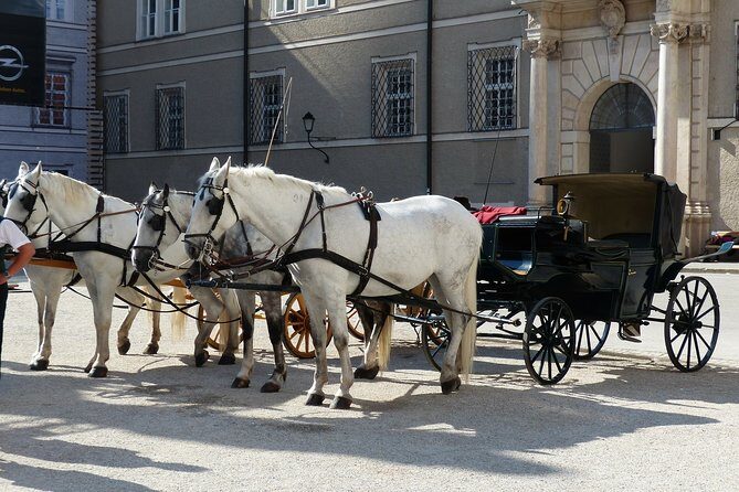 Private full day trip to Salzburg from Vienna - driver only - FAQs