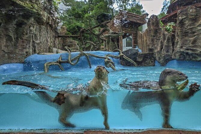 Private Full Day Trip to Taman Safari From Jakarta - Exploring the Details of the Taman Safari Tour