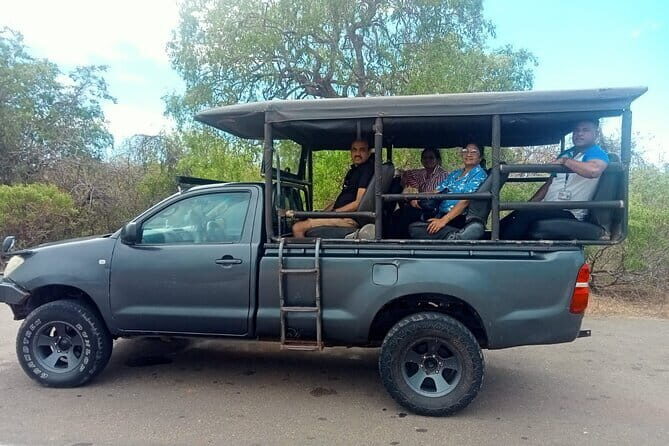 Private Full Day Udawalawe Safari Trip with Lunch - Key Points