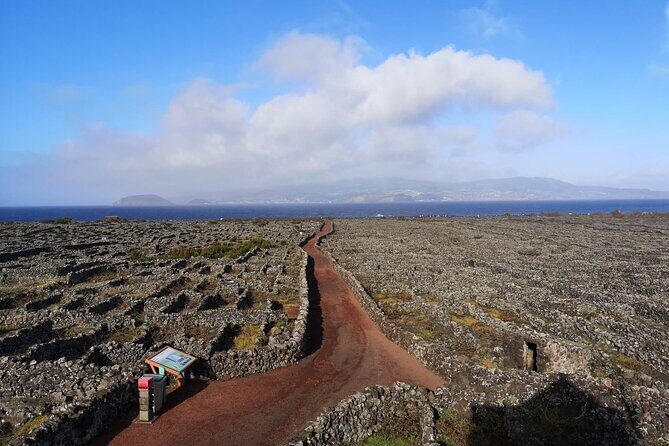 Private full day visit to Pico, a first impression - Why This Tour Offers Great Value