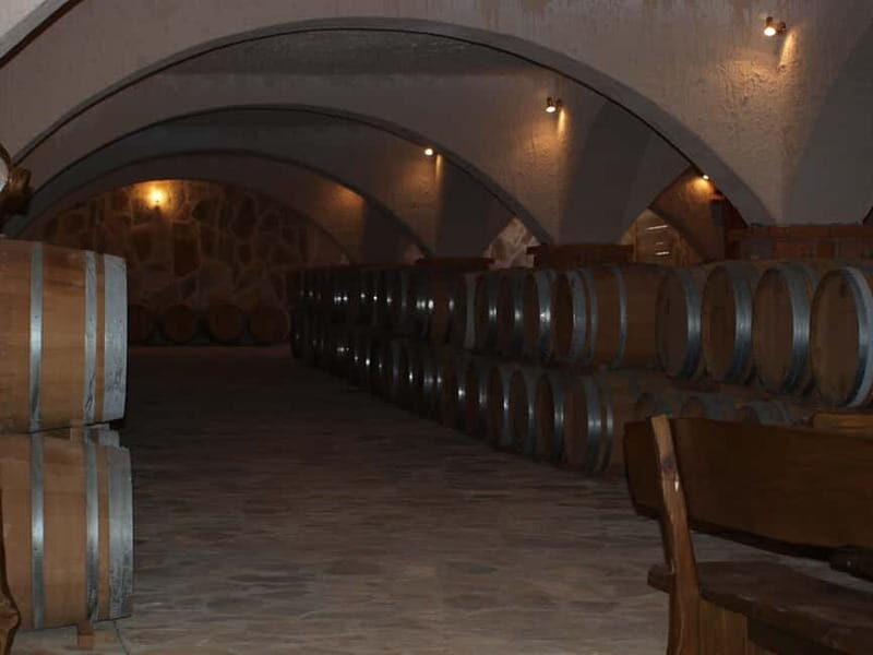 Private Full-Day Wine Tour from Dubrovnik to Peljesac - Who Is This Tour Best For?