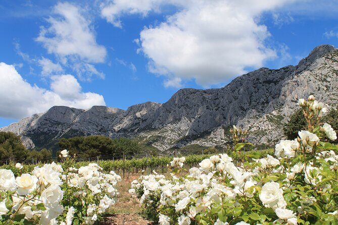 Private Full Day Wine Tour in Provence From Marseille cruise port - An In-Depth Look at the Tour Experience