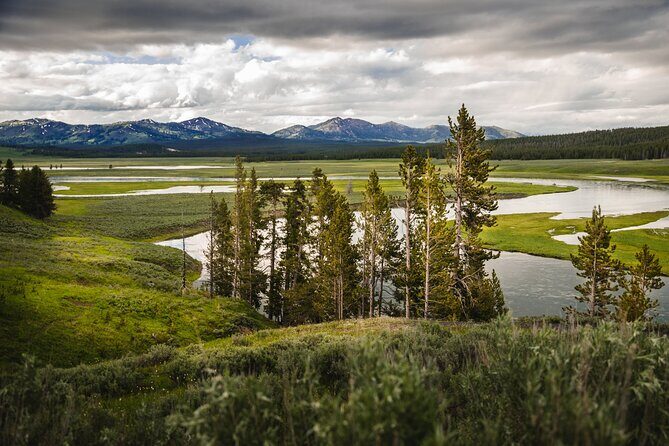 Private Full-Day Yellowstone National Park Tour - Who This Tour Best Suits