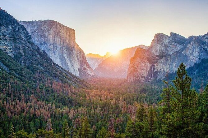 Private Full Day Yosemite National Park Tour from Oakland - Exploring the Yosemite Valley: An Honest Look at the Private Full-Day Tour from Oakland