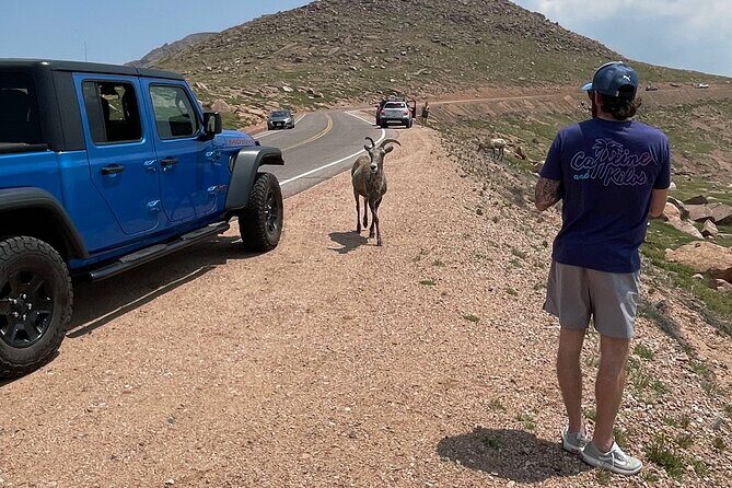 Private Full DayJeep Tour Garden of Gods Pike's Peak from Denver - Genuine Reviews: What Travelers Are Saying