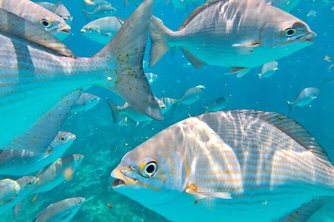 Private Fun Fishing Charter - Key Points