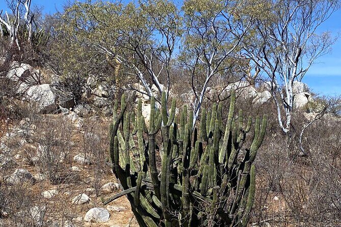 PRIVATE Fun Hiking Tour with Awesome Views - Why the Guide Matters and What You’ll Gain