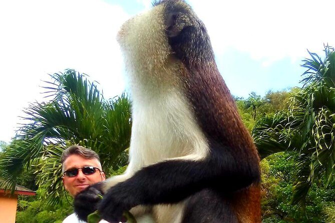 Private Fun Tour in Grenada - Final Thoughts: Who Will Love This Tour?