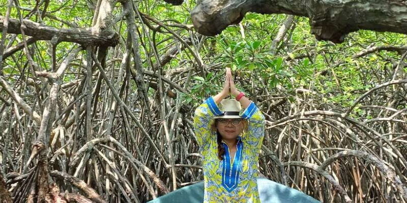 Private Galle and Bentota Day-Tour From Colombo - The Practical Details