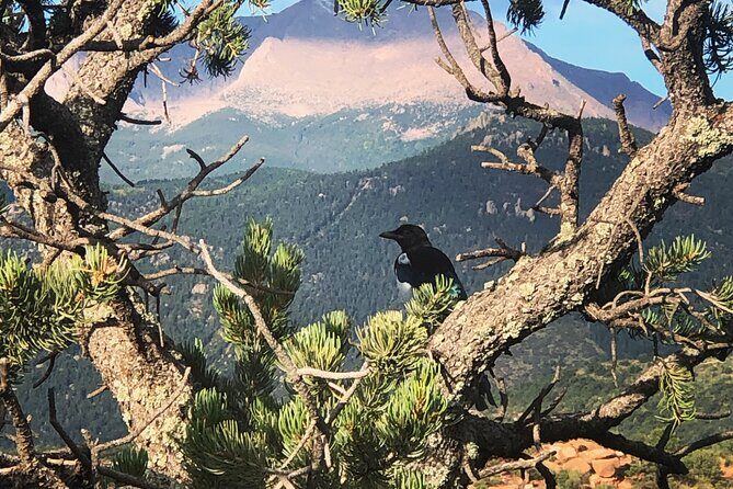 Private Garden of the Gods Jeep Tour - The Sum Up