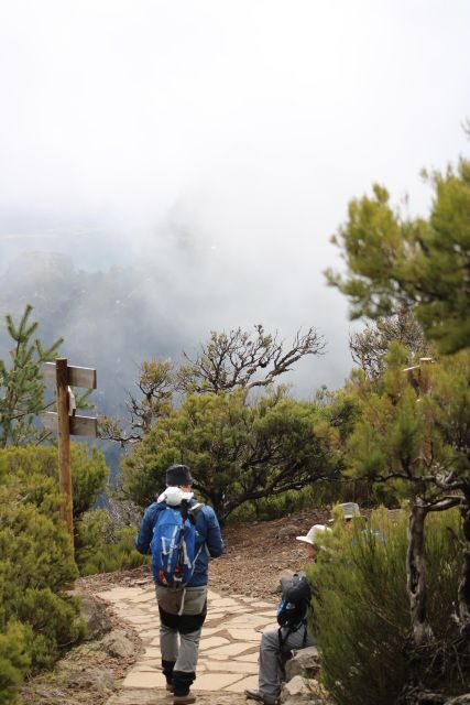 Private - Gastro Hike with Levada Walk and Local Food - Who Will Love This Tour?