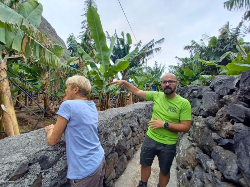 Private - Gastro Hike with Levada Walk and Local Food - Frequently Asked Questions
