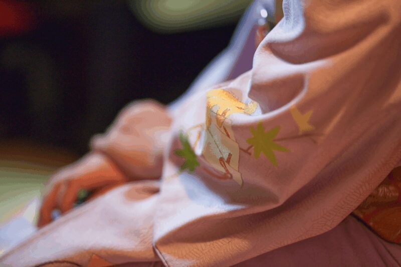 Private geisha show with Maiko, an geisha apprentice - The Sum Up