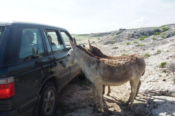 Private German Speaking Jeep Tours - FAQ