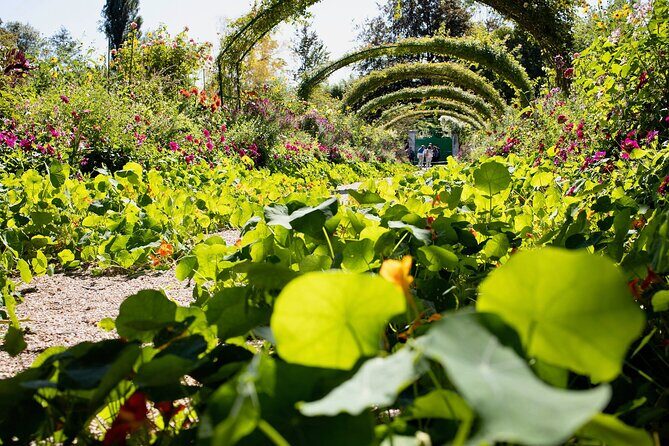 Private Giverny Half-day Trip from Paris by Mercedes Lunch option - Authentic Experiences and Practical Insights