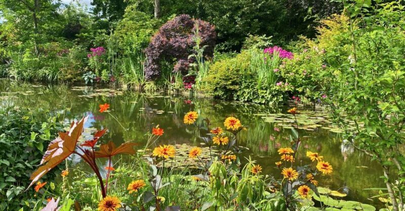 Private Giverny Half-day trip from Paris by Mercedes - Key Points