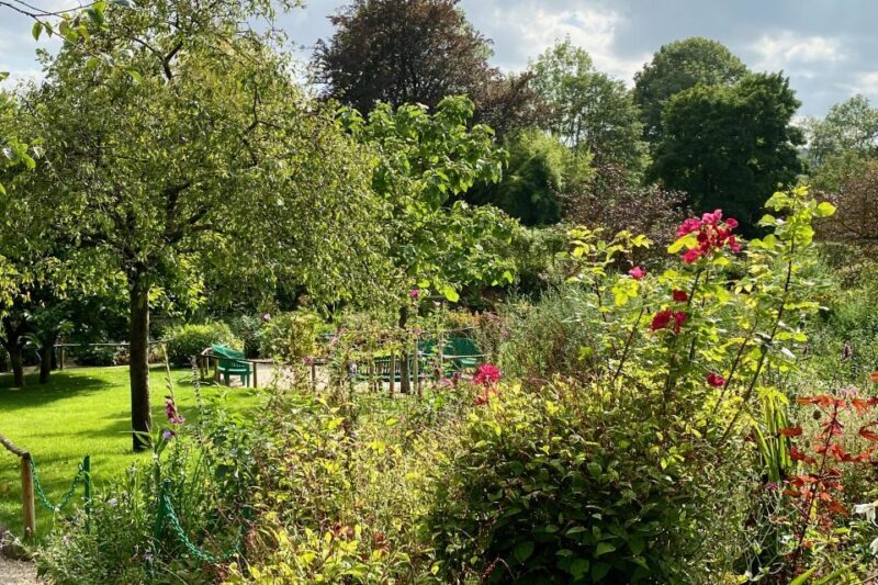 Private Giverny Half-day trip from Paris by Mercedes - Guides and Personalization: The Human Touch