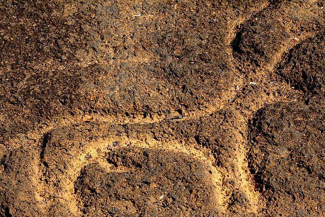 Private Goa tour of ancient rock art, laterite cave and bubble lake with lunch - Key Points