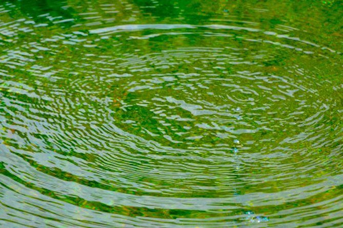 Private Goa tour of ancient rock art, laterite cave and bubble lake with lunch - The Practical Side: What You Should Know