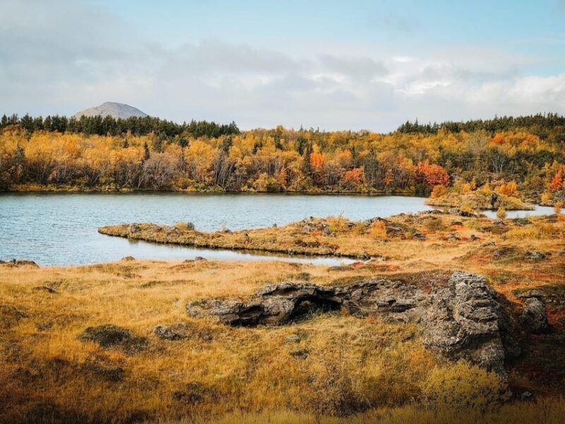 PRIVATE Godafoss Waterfall, Myvatn and Baths - Who Should Book This Tour?