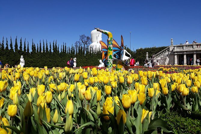 Private Golden Bridge And Ba Na Hills tour from Hoi An/ Da Nang - FAQs