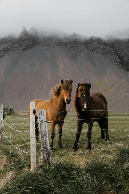 Private Golden Circle Tour With Experienced Tour Guide - FAQ