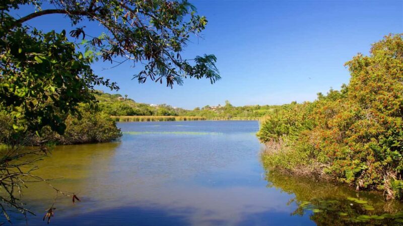 Private: Good Lagoon Exploration in Jaragua National Park - Key Points