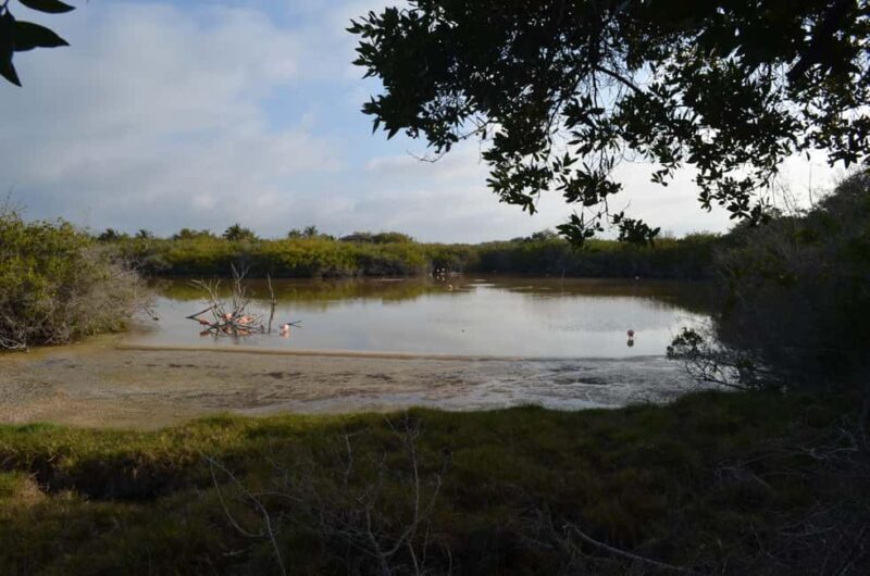 Private: Good Lagoon Exploration in Jaragua National Park - What do reviewers say?