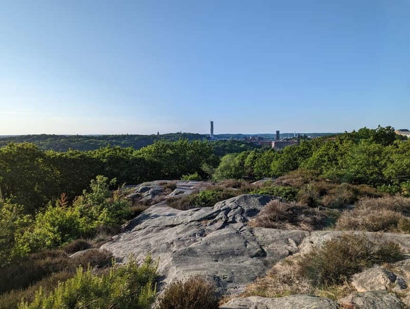 Private Gothenburg: Walking Tour Like a Local! - Who Should Consider This Tour?