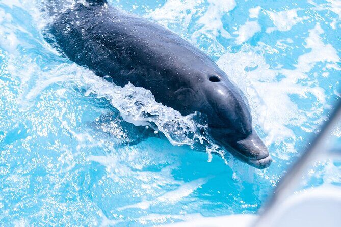 Private Grace Bay Boat Sunset Tour with Pickup - Who Should Book This Tour?