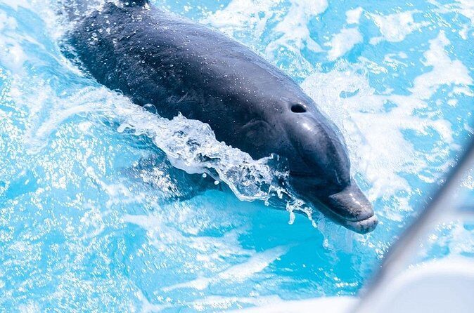 Private Grace Bay Boat Sunset Tour with Pickup - Final Thoughts