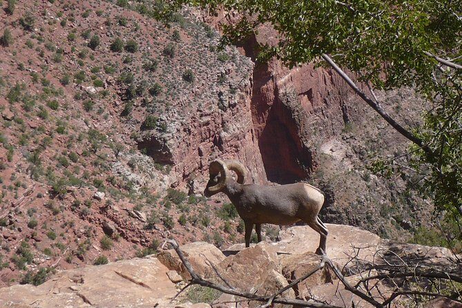 Private Grand Canyon Day Tour from Phoenix & Scottsdale - Overall Impression