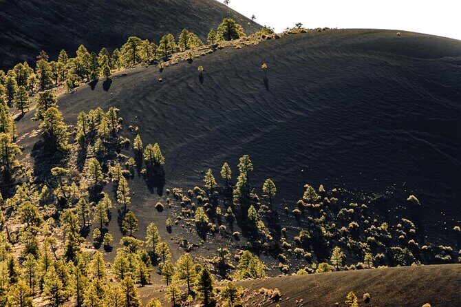 Private Grand Canyon Ultimate Day Tour - Why Choose This Tour?