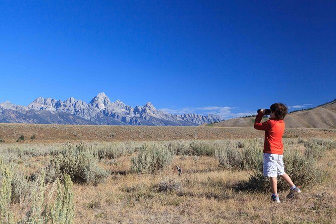 Private Grand Teton Wildlife Safari Tour - In-Depth Look at the Wildlife Safari Experience