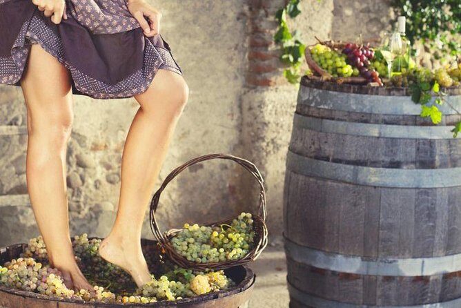 Private Grape stomping at Chianti Farmhouse - Exploring the Itinerary: What You Can Expect from This Private Tour