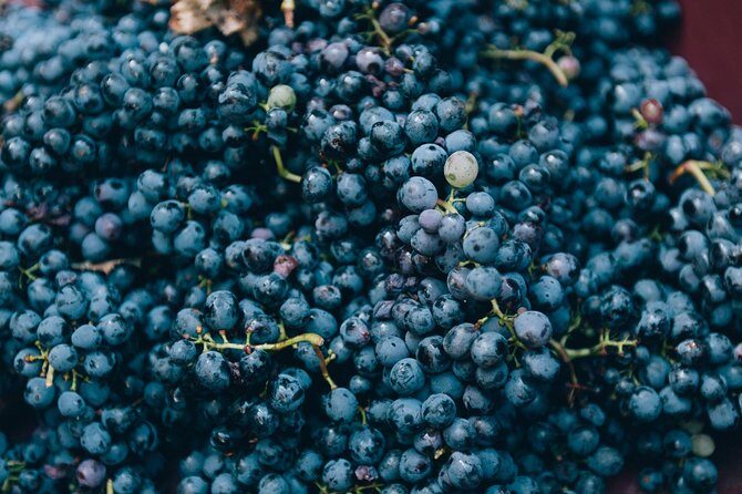 Private Grape stomping at Chianti Farmhouse - The Sum Up: Who This Tour Is Best For